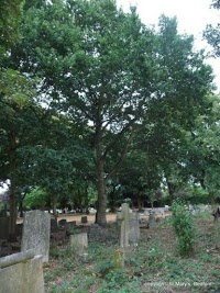 Bedfont Cemetery in , Greater London TW14