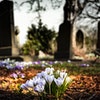 Enfield Crematorium in Enfield, Greater London EN1 4DS